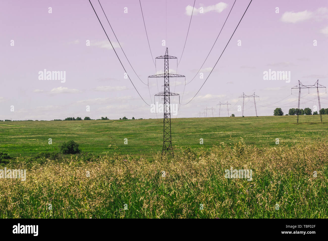 Power lines in countryside, on field outside the city Stock Photo - Alamy