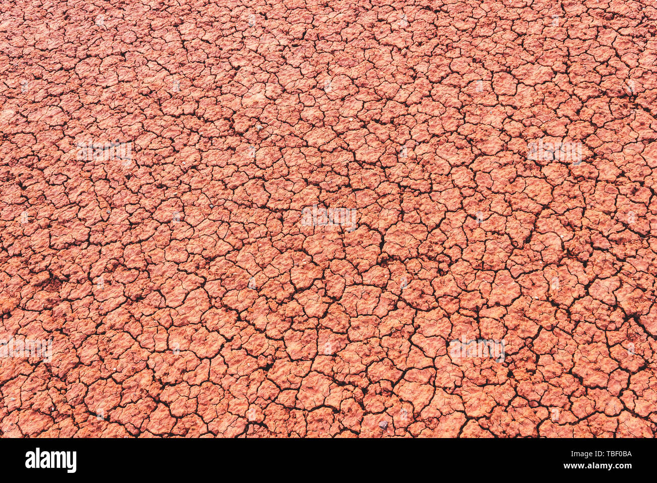 Dry cracked soil in empty. Lack of water, need for land reclamation ...