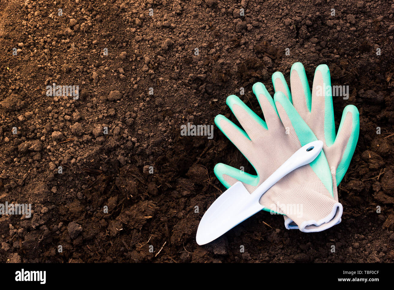 Garden gloves and scoop on fresh ground. Spring gardening, planting ...