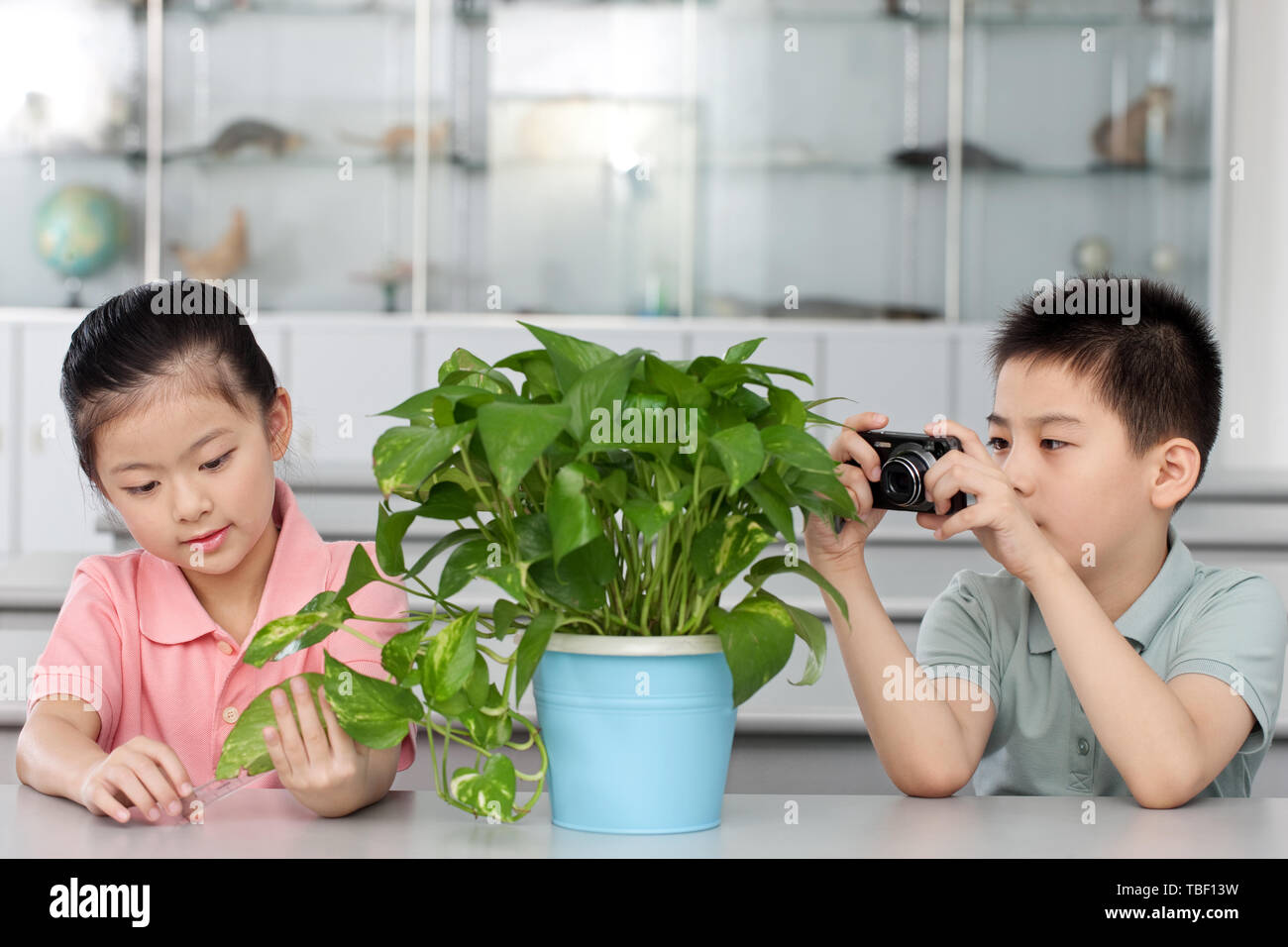 Primary school girls take hi-res stock photography and images - Alamy