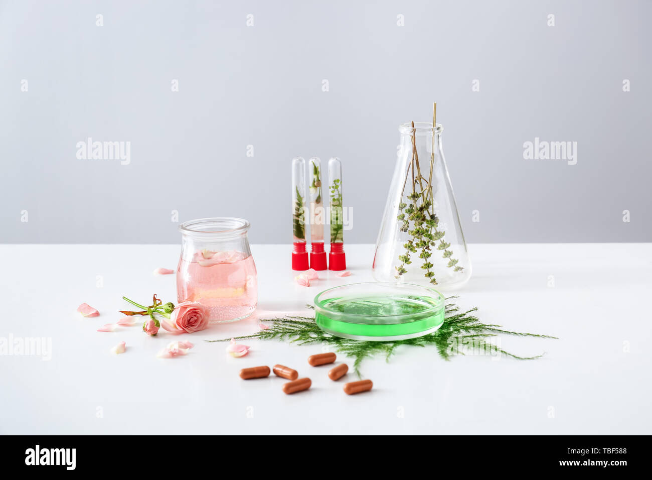 Plant based healing hi-res stock photography and images - Alamy