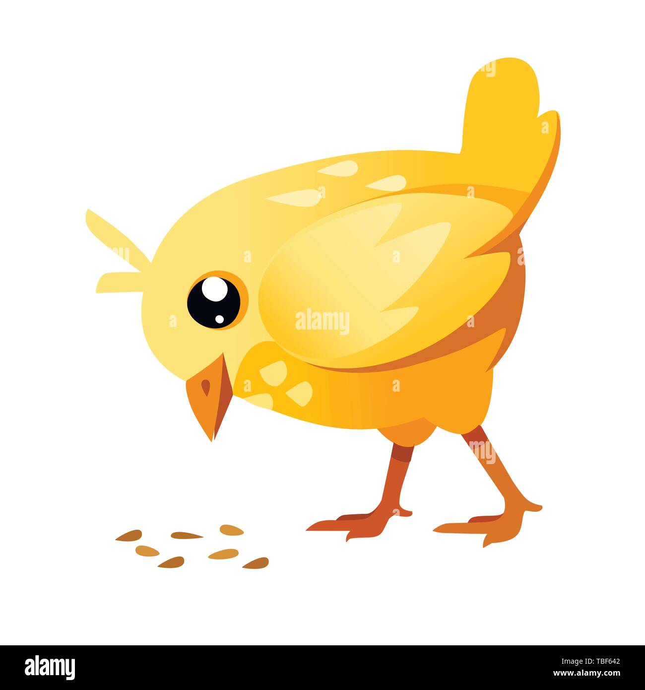 Cute little chick standing and eating crumbs on the floor side view ...