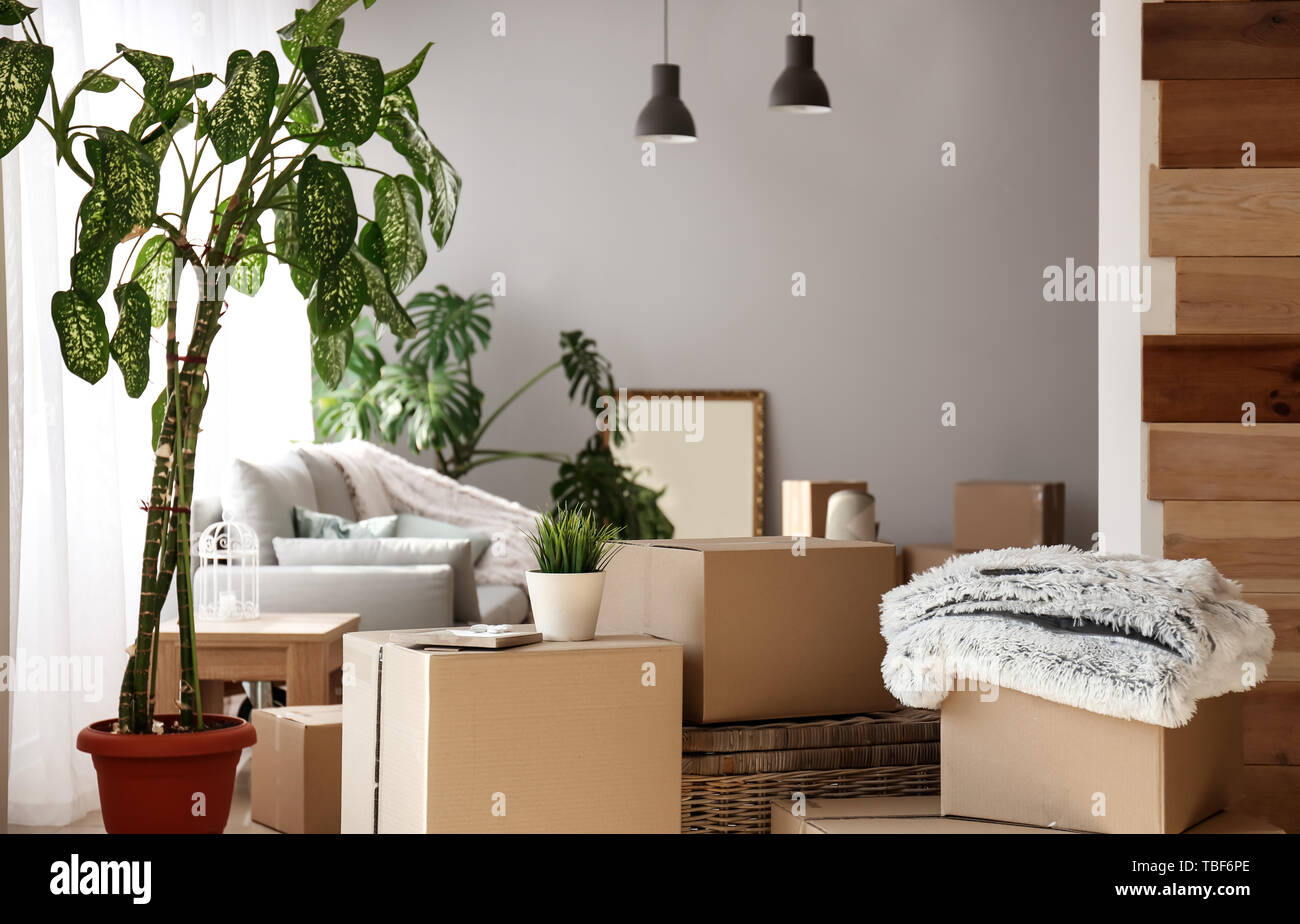 Moving boxes with belongings in room Stock Photo - Alamy