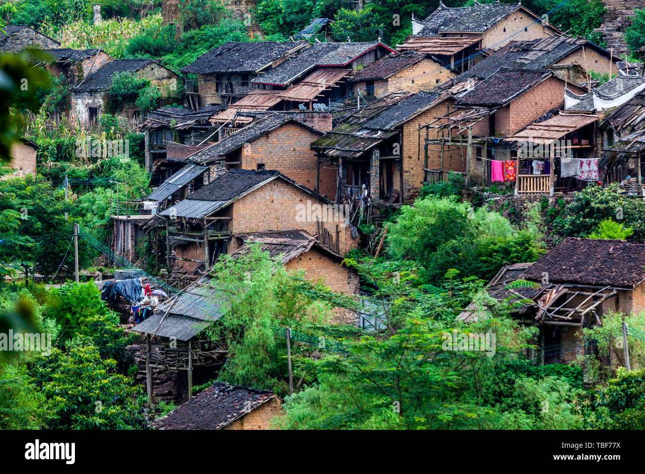 Yuling hi-res stock photography and images - Alamy