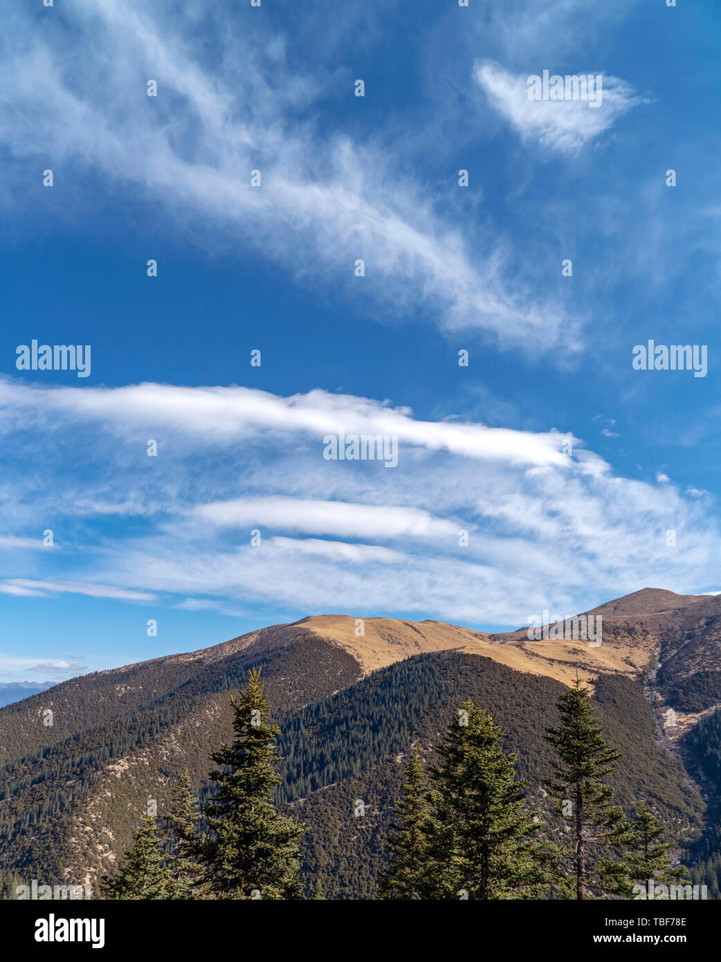 Snow line at the tibetan plateau hi-res stock photography and images ...