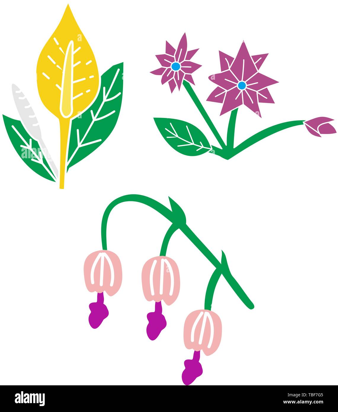 Flower Leaf Illustration Design Template Vector Stock Vector Image ...