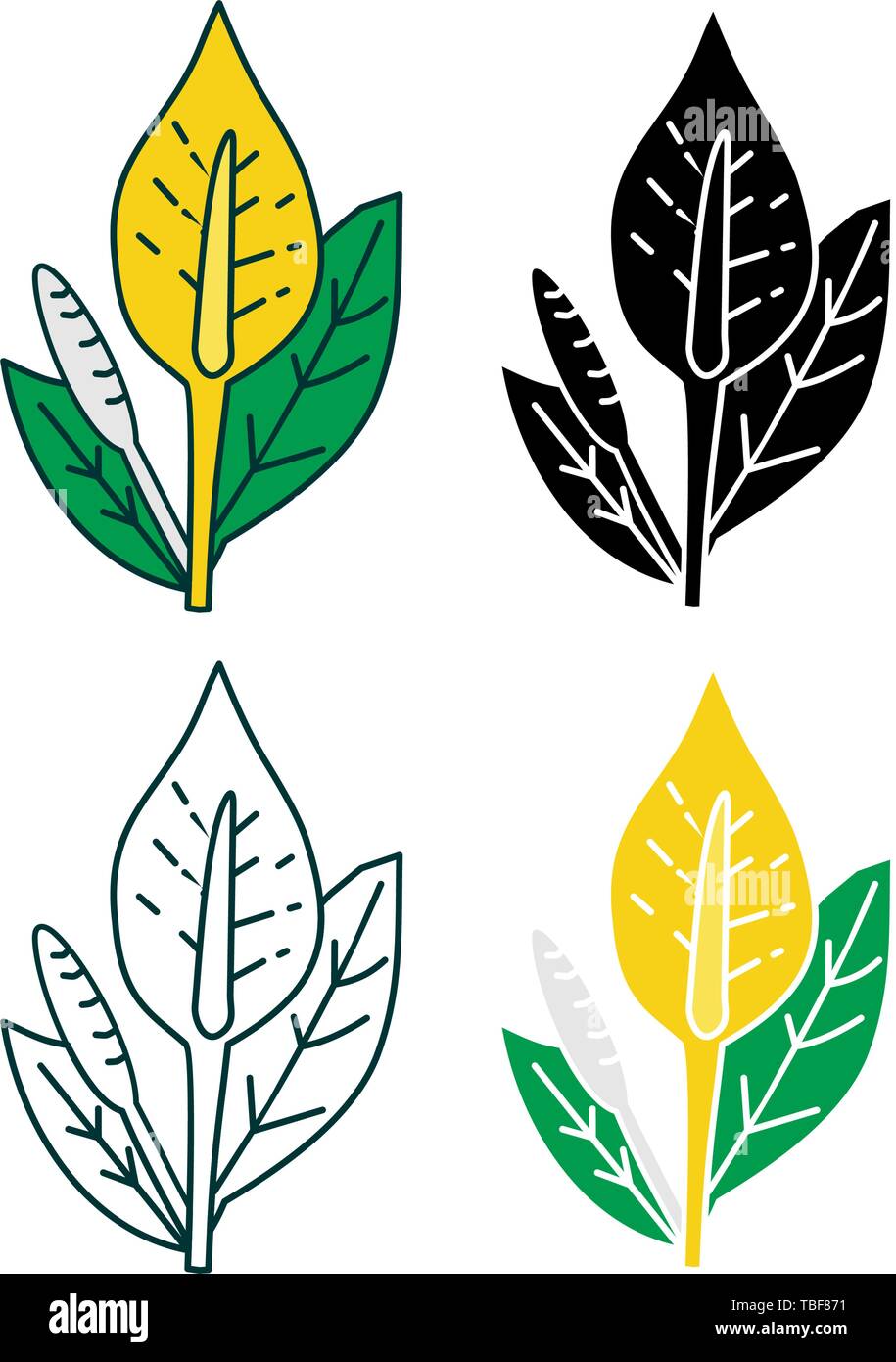 Flower Leaf Illustration Design Template Vector Stock Vector Image ...