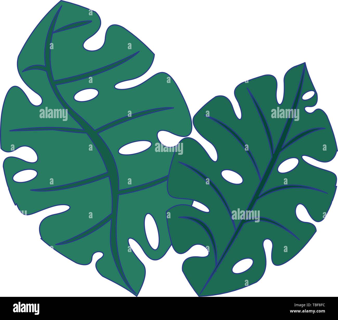 Tropical leaves nature cartoon isolated Stock Vector Image & Art - Alamy