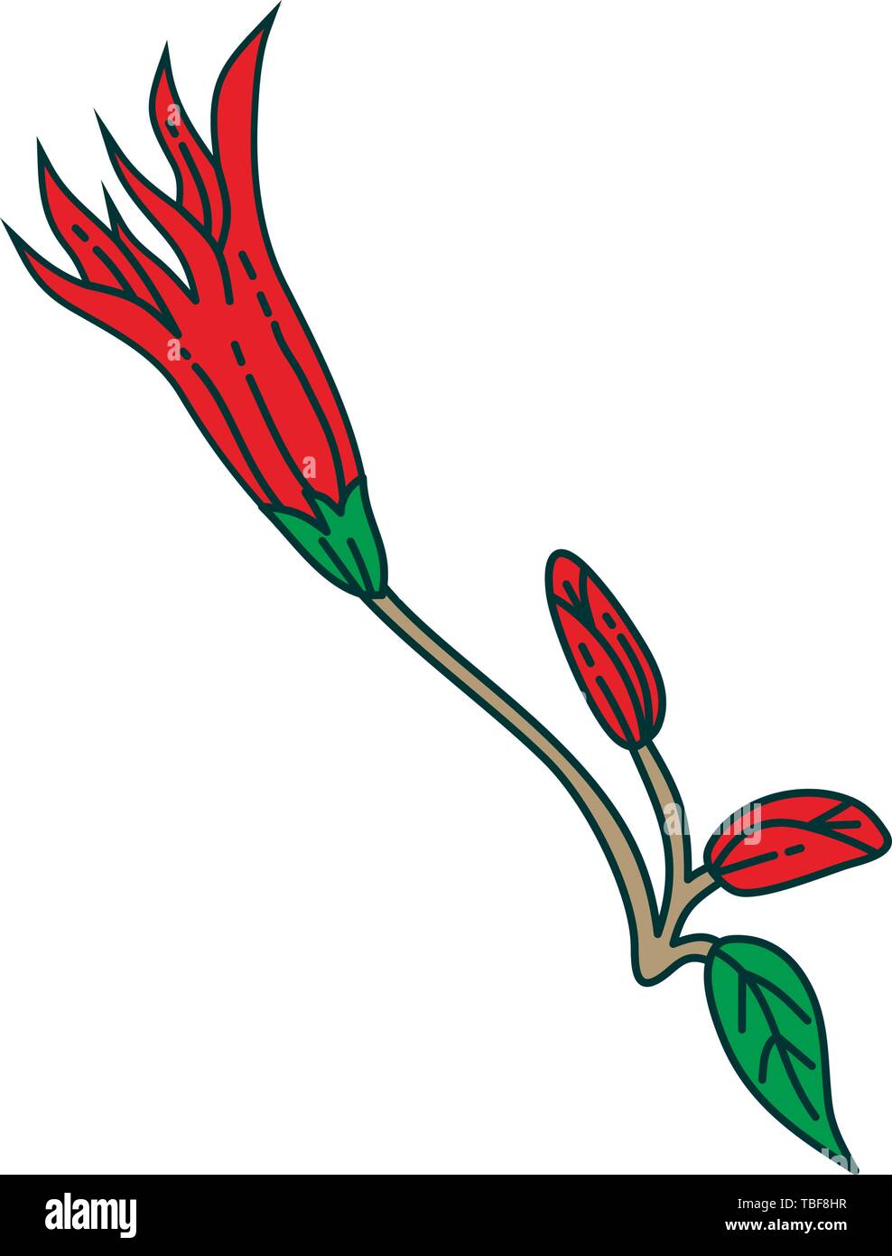 Flower Leaf Illustration Design Template Vector Stock Vector Image ...