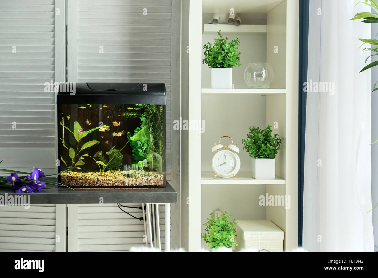 Beautiful aquarium on table in room Stock Photo - Alamy