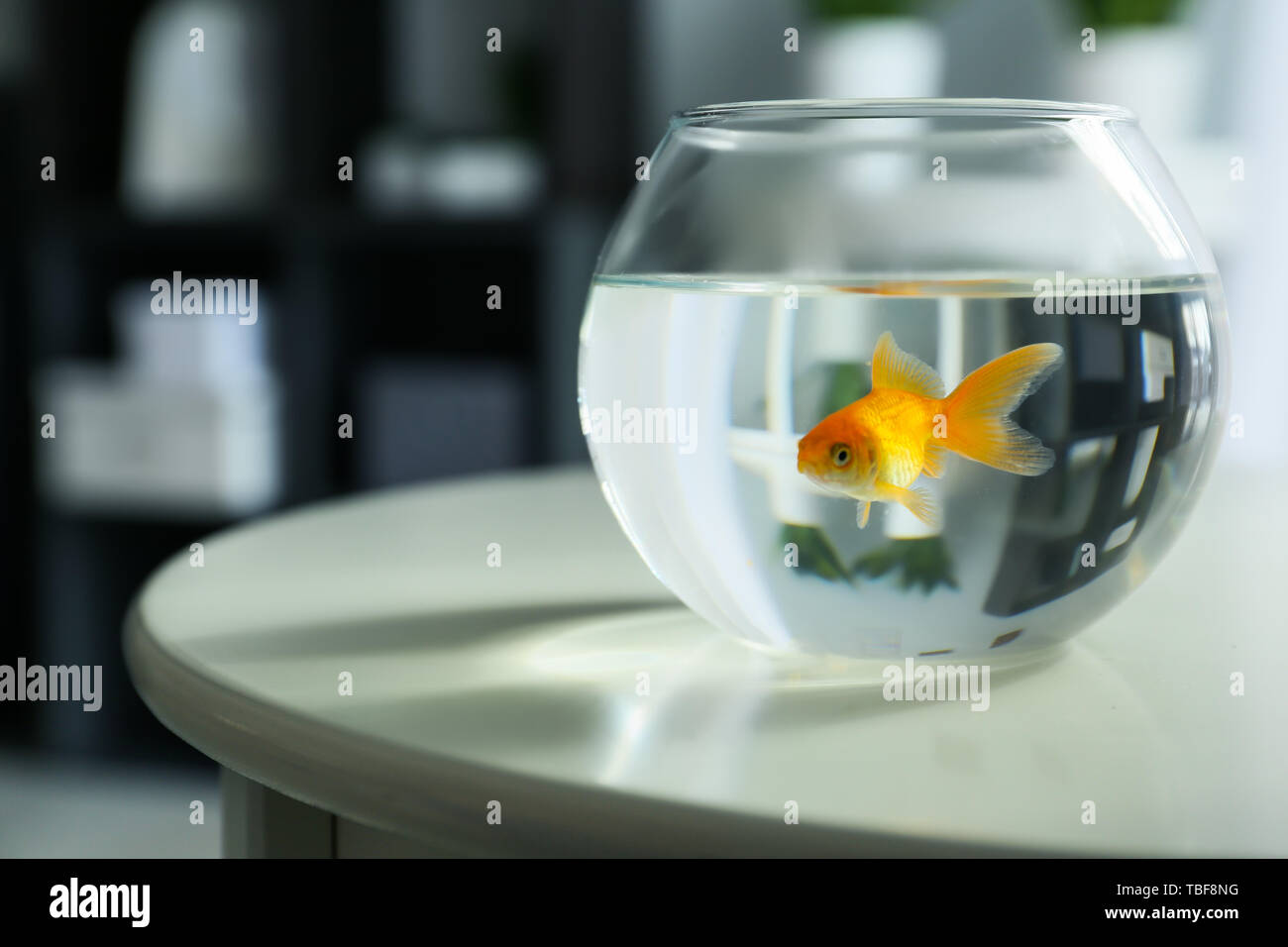 Glass fishbowl on table Stock Photo - Alamy