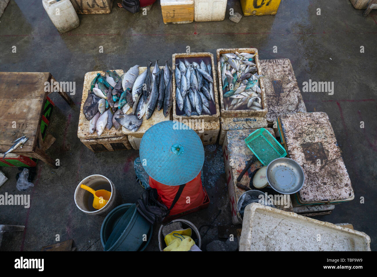 A fish sellers in the jimbaran bali fish market. He sells various types ...