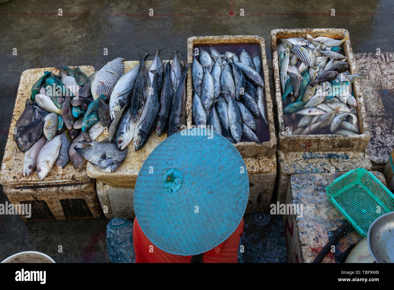 A fish sellers in the jimbaran bali fish market. He sells various types ...