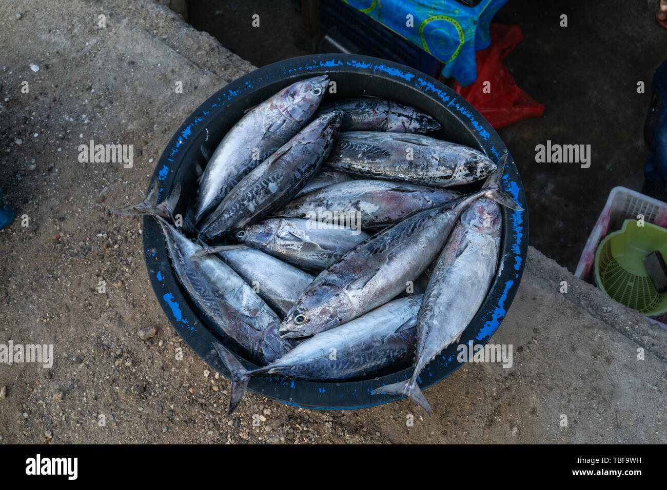 Natural marine basin hi-res stock photography and images - Alamy