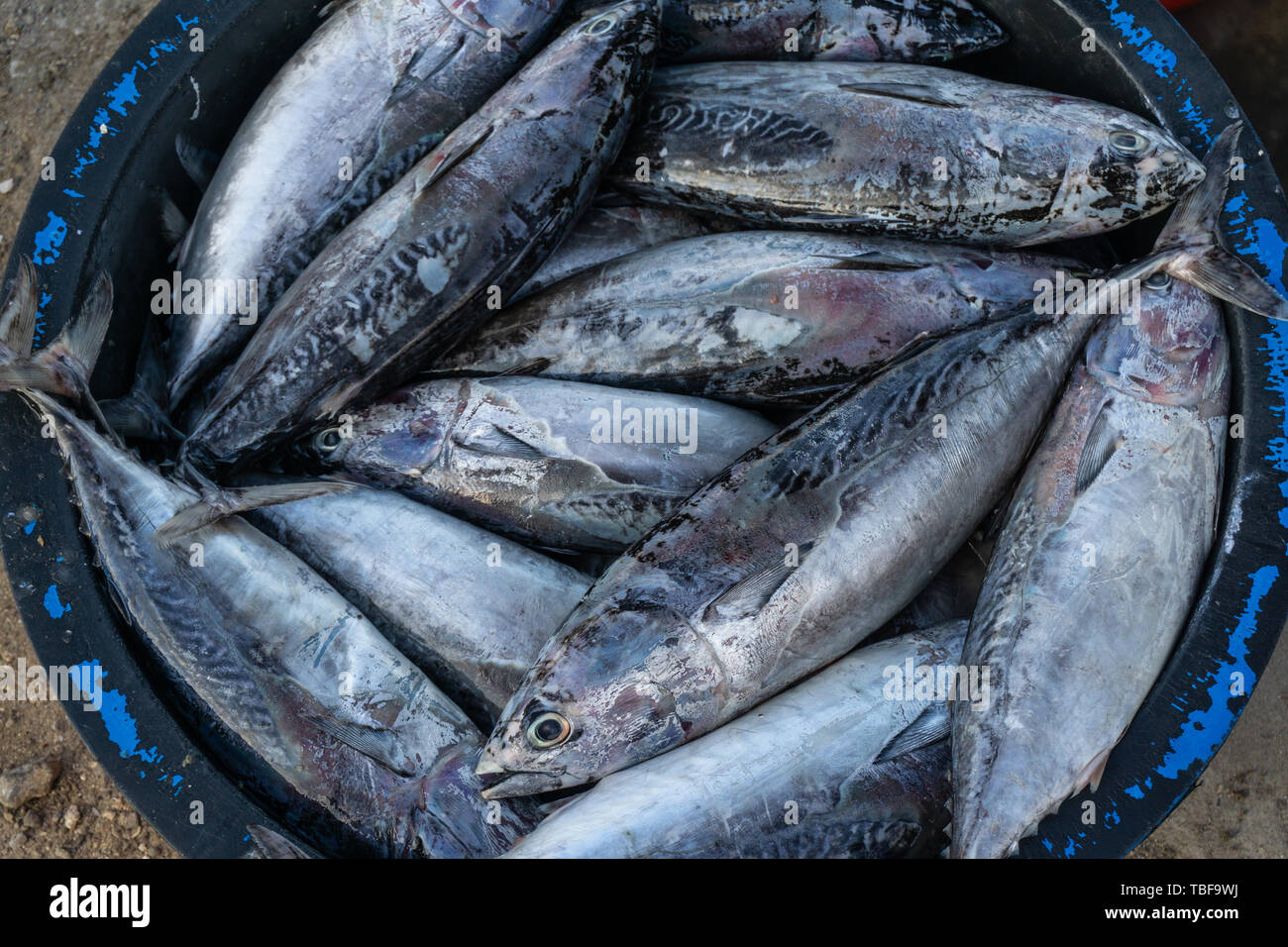 Dead sea basin hi-res stock photography and images - Alamy