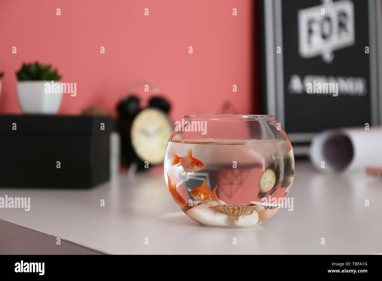 Beautiful fishbowl on table in room Stock Photo - Alamy