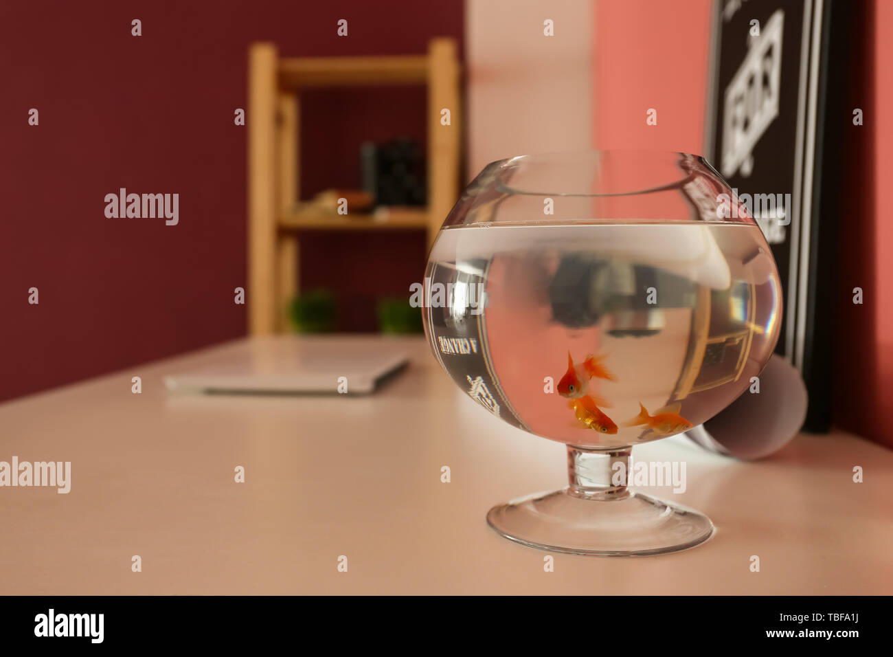 Beautiful fishbowl on table in room Stock Photo - Alamy