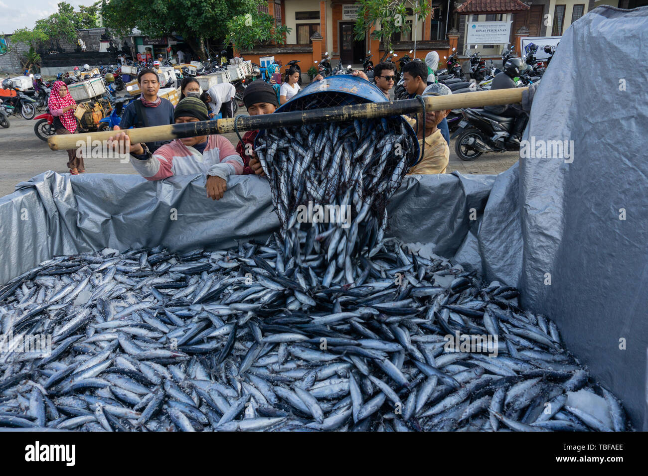 Fish transporting hi-res stock photography and images - Alamy