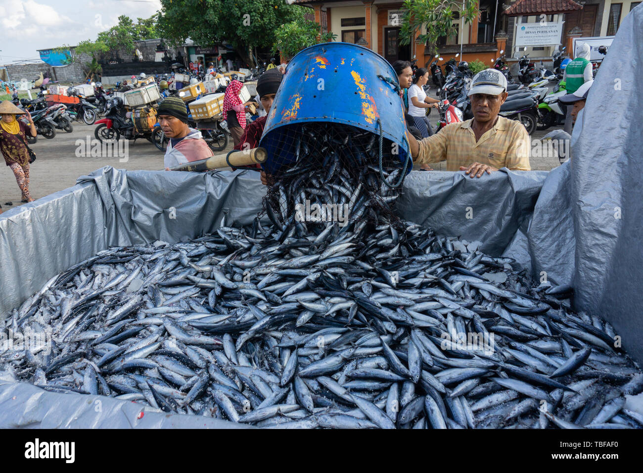 Transporting fish hi-res stock photography and images - Alamy