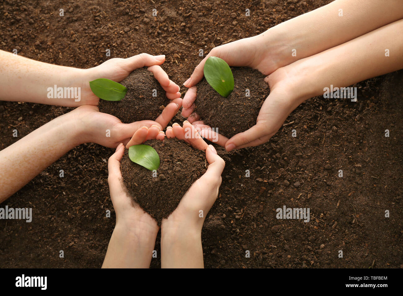 Women setting out plants in soil Stock Photo - Alamy
