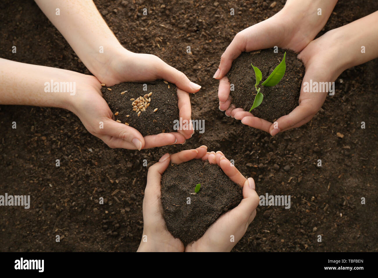 Setting out plants hi-res stock photography and images - Alamy