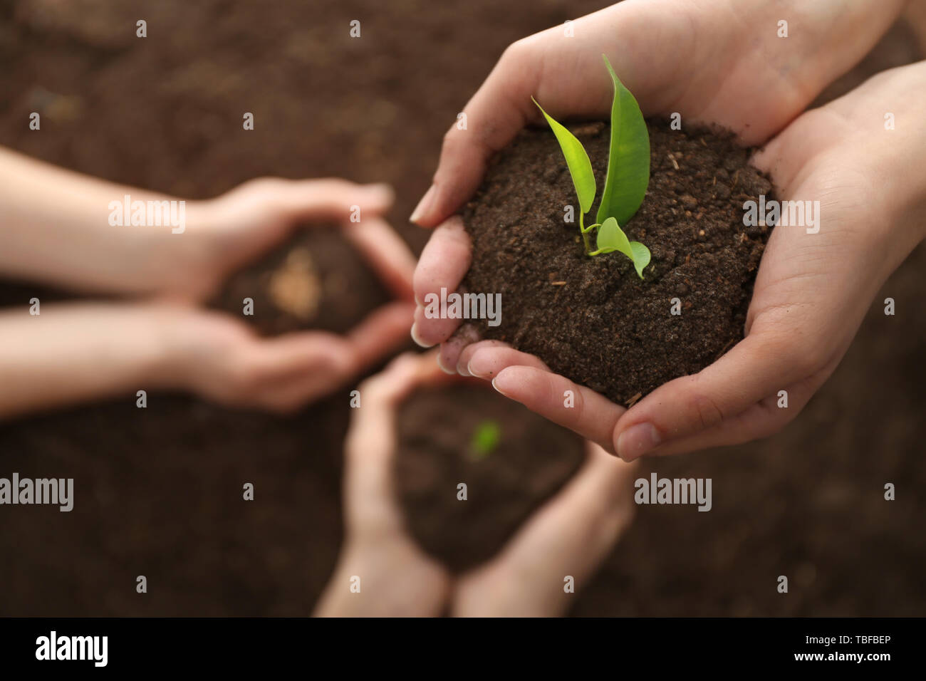 Setting out plants hi-res stock photography and images - Alamy