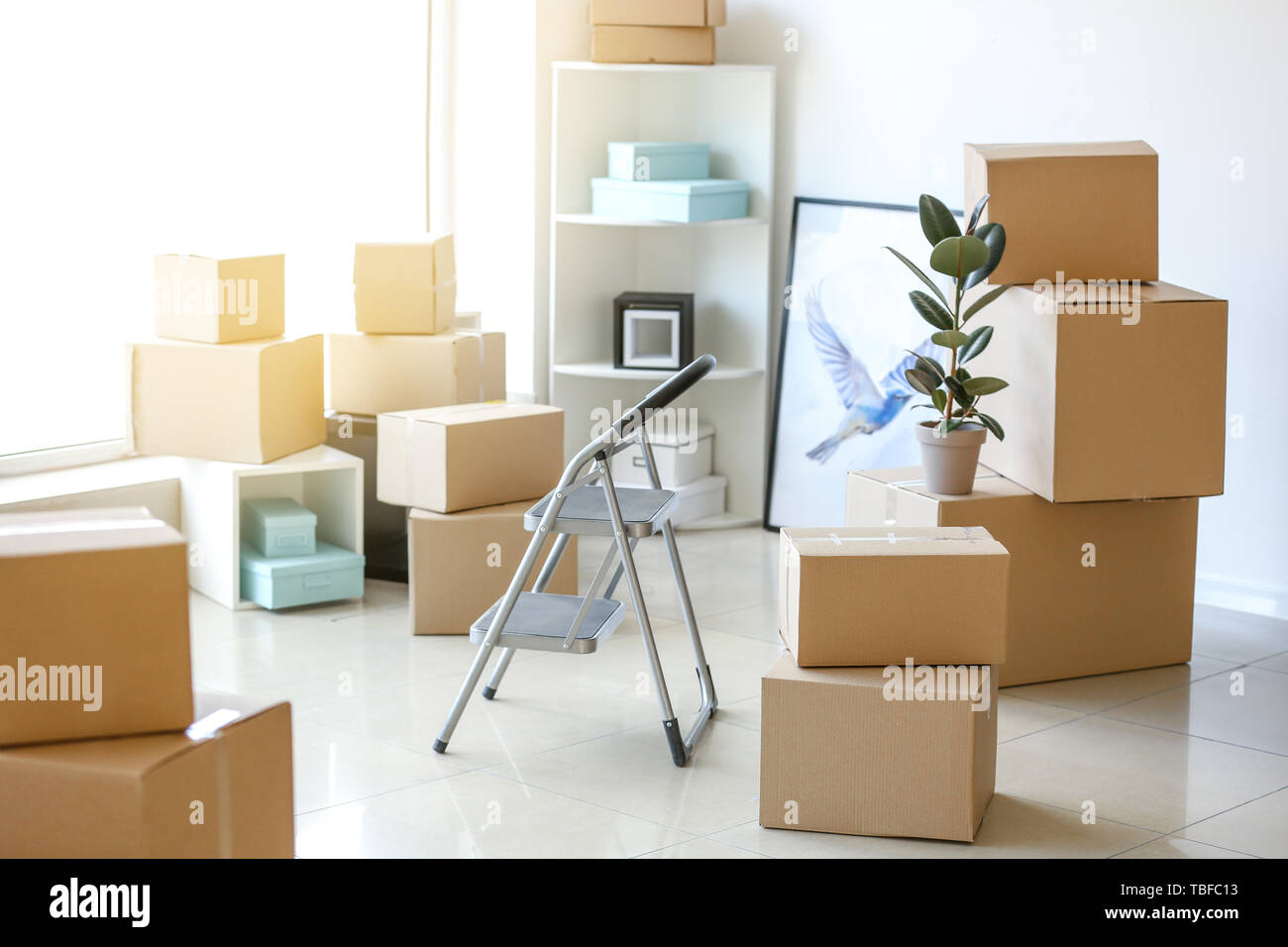 Moving boxes with belongings in room Stock Photo - Alamy