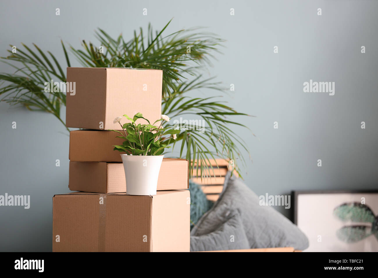 Moving boxes with belongings in room Stock Photo - Alamy