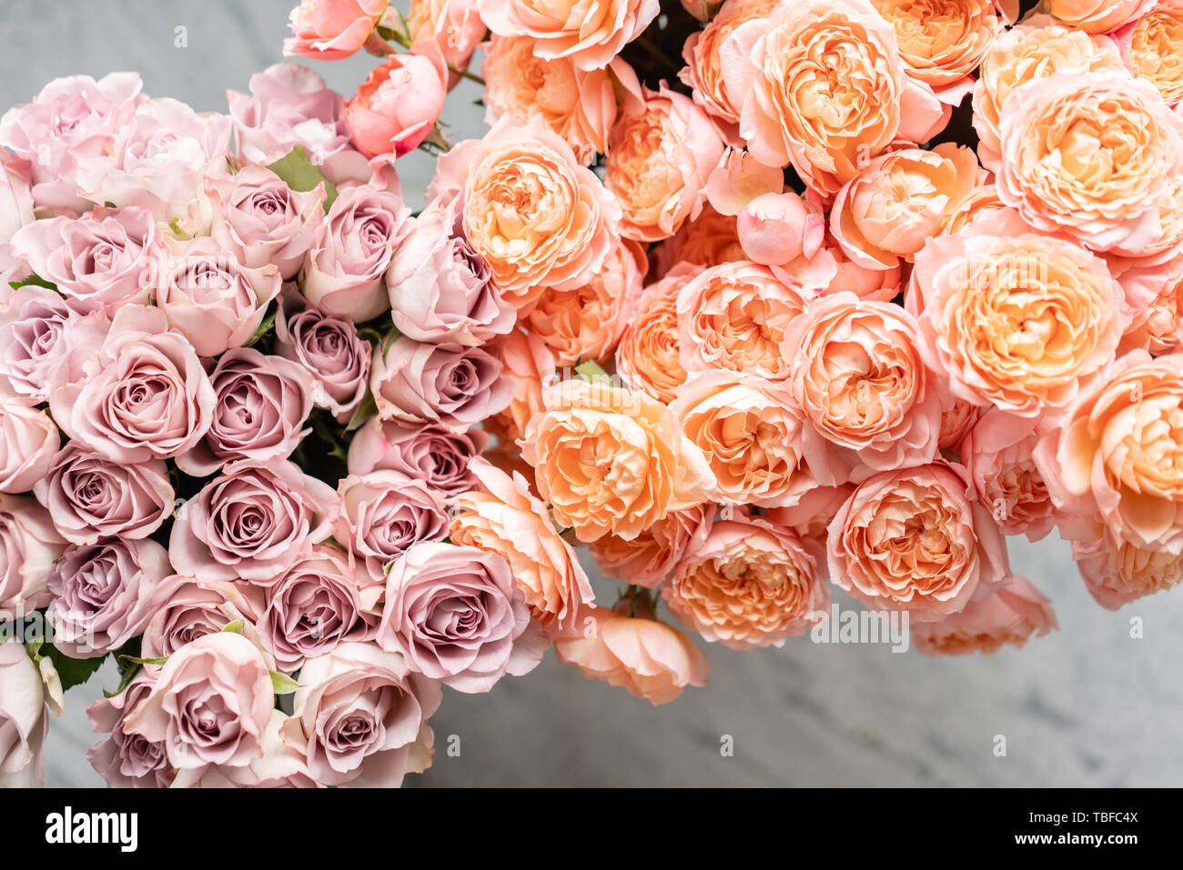Floral carpet or Wallpaper. Background of mix of flowers. Beautiful ...