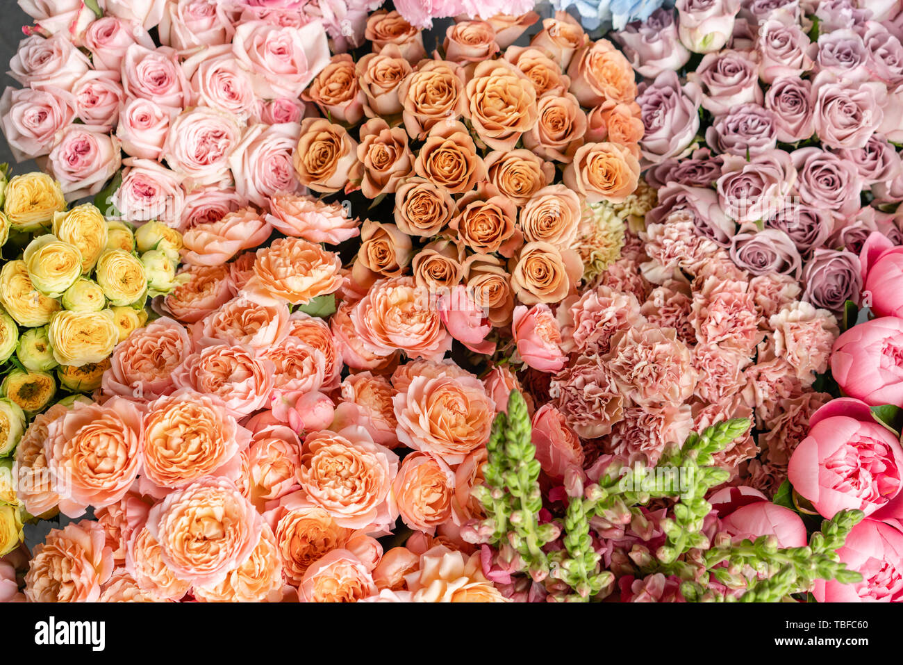 Floral carpet or Wallpaper. Background of mix of flowers. Beautiful ...