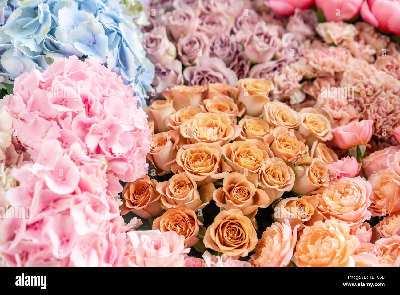 Floral carpet or Wallpaper. Background of mix of flowers. Beautiful ...