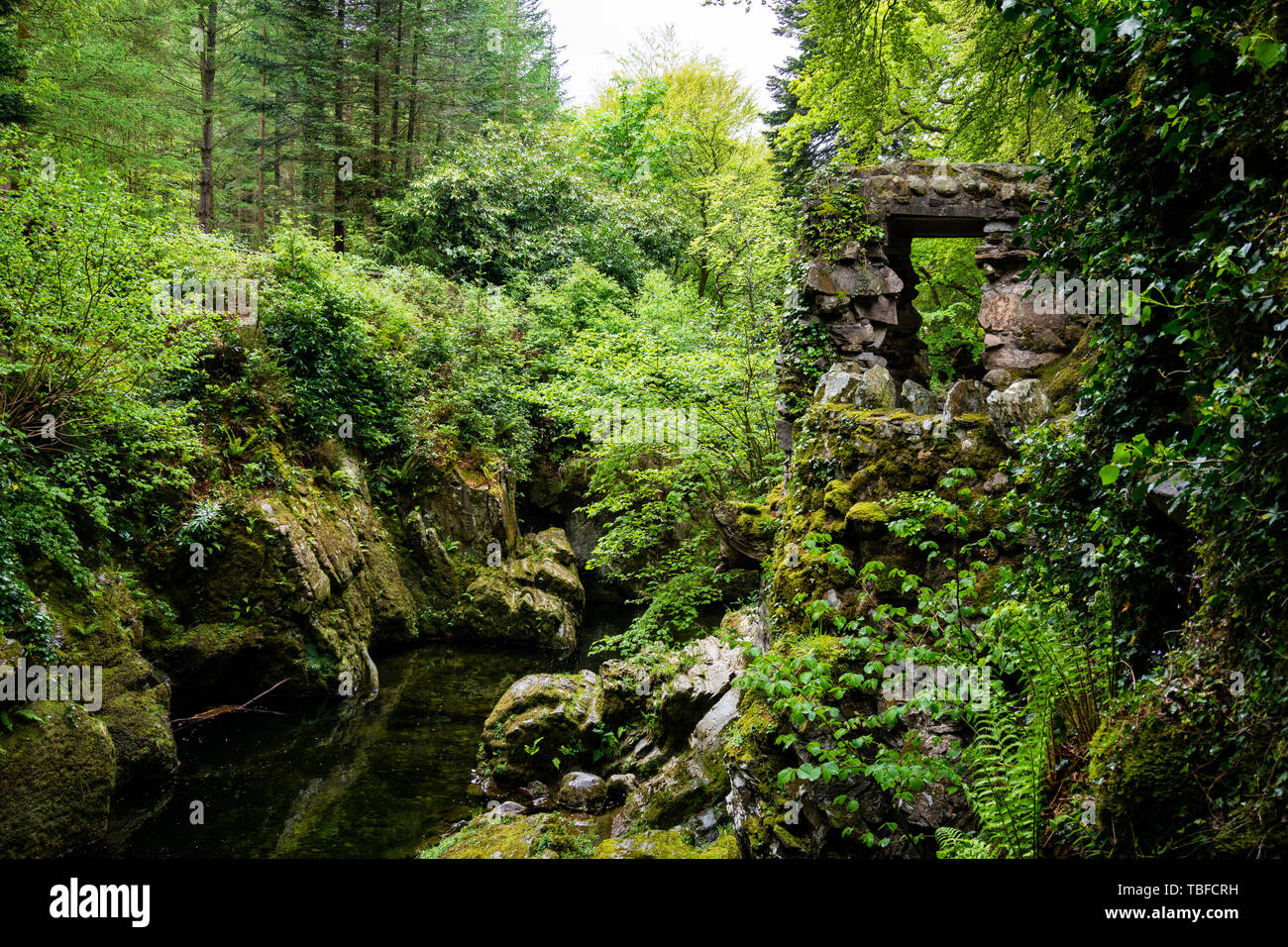 trees, lakes and streams in Tollymore Forest Park, Ireland Stock Photo ...