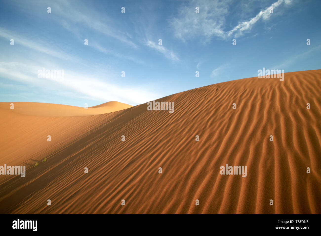 Transverse dune hi-res stock photography and images - Alamy