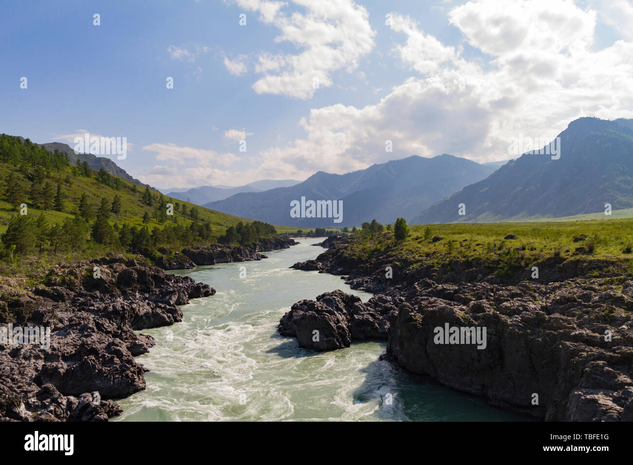 Stream flowing mountain katun river hi-res stock photography and images ...
