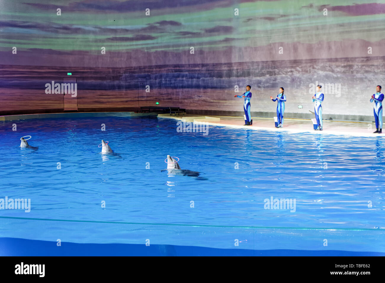 Shanghai Haichang Ocean Park Dolphin Museum Stock Photo - Alamy
