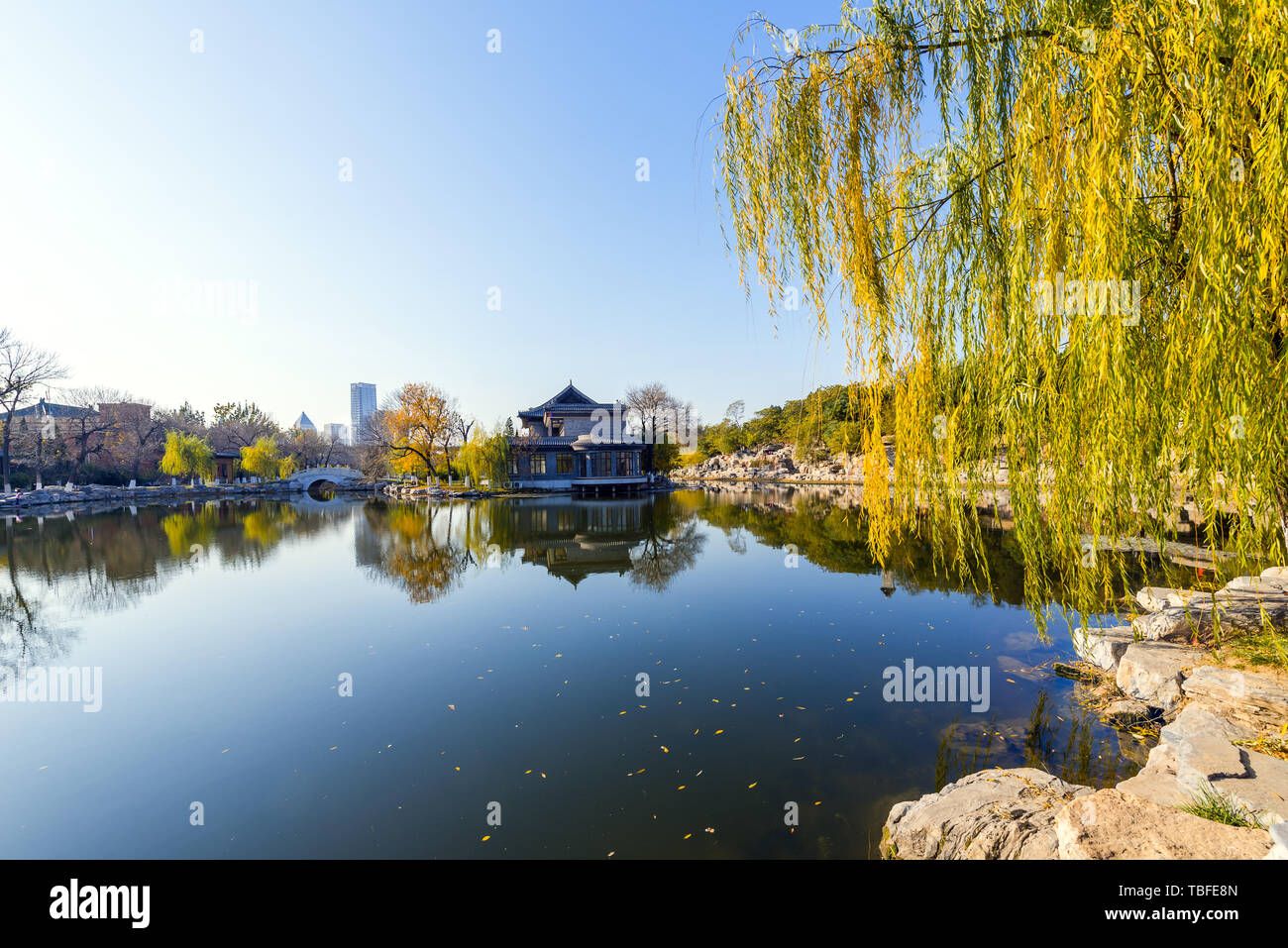 Autumn meaning autumn beautiful scenery sunny scenery scenery river ...