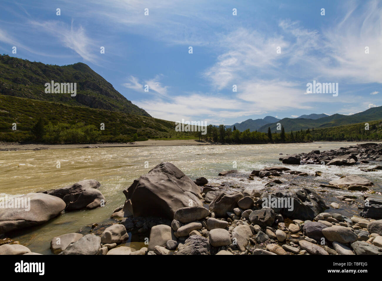 Rapid current of the Chuya River in Mountains Altai. Summer time. Rocky ...