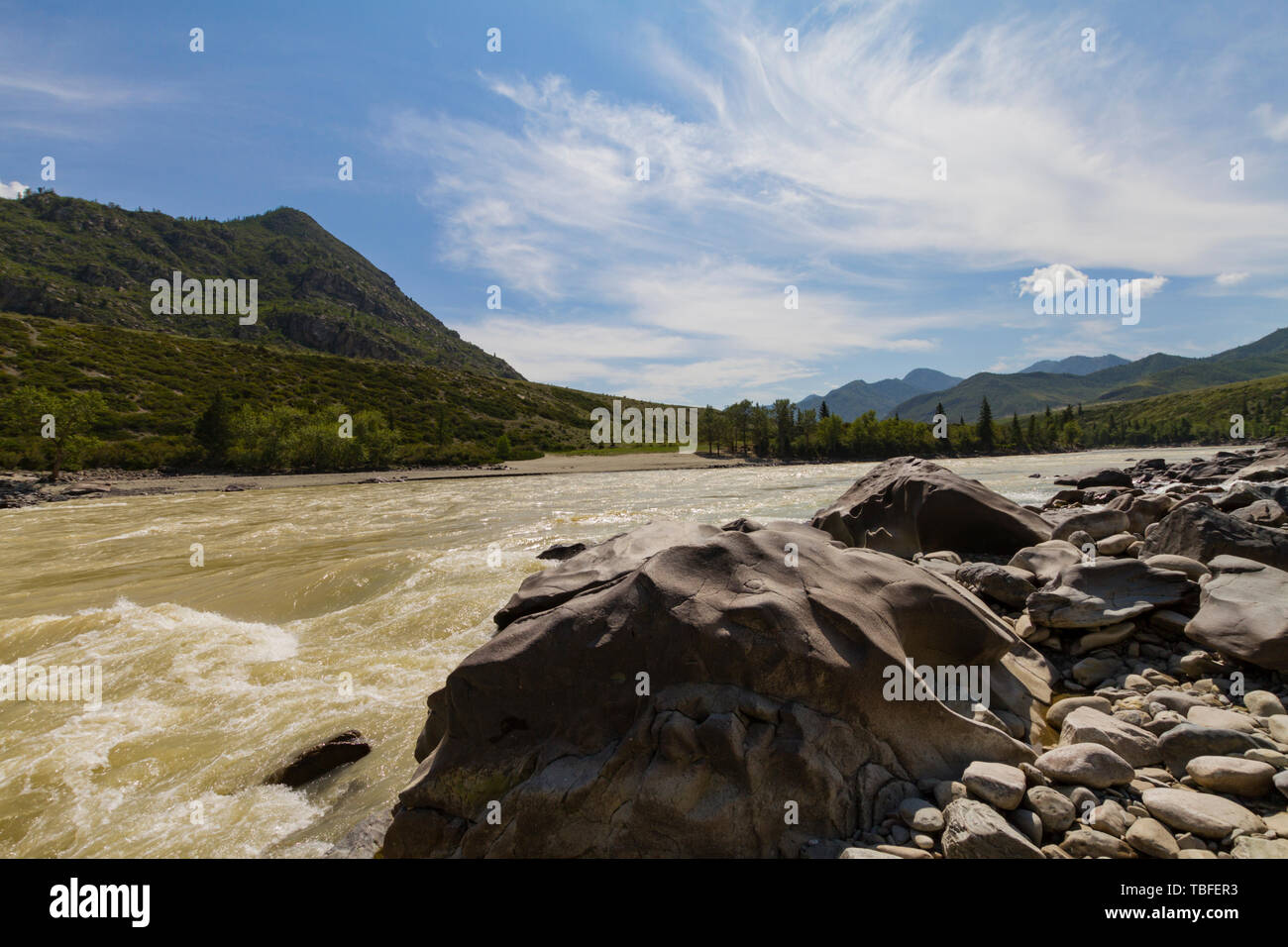 Rapid current of the Chuya River in Mountains Altai. Summer time. Huge ...