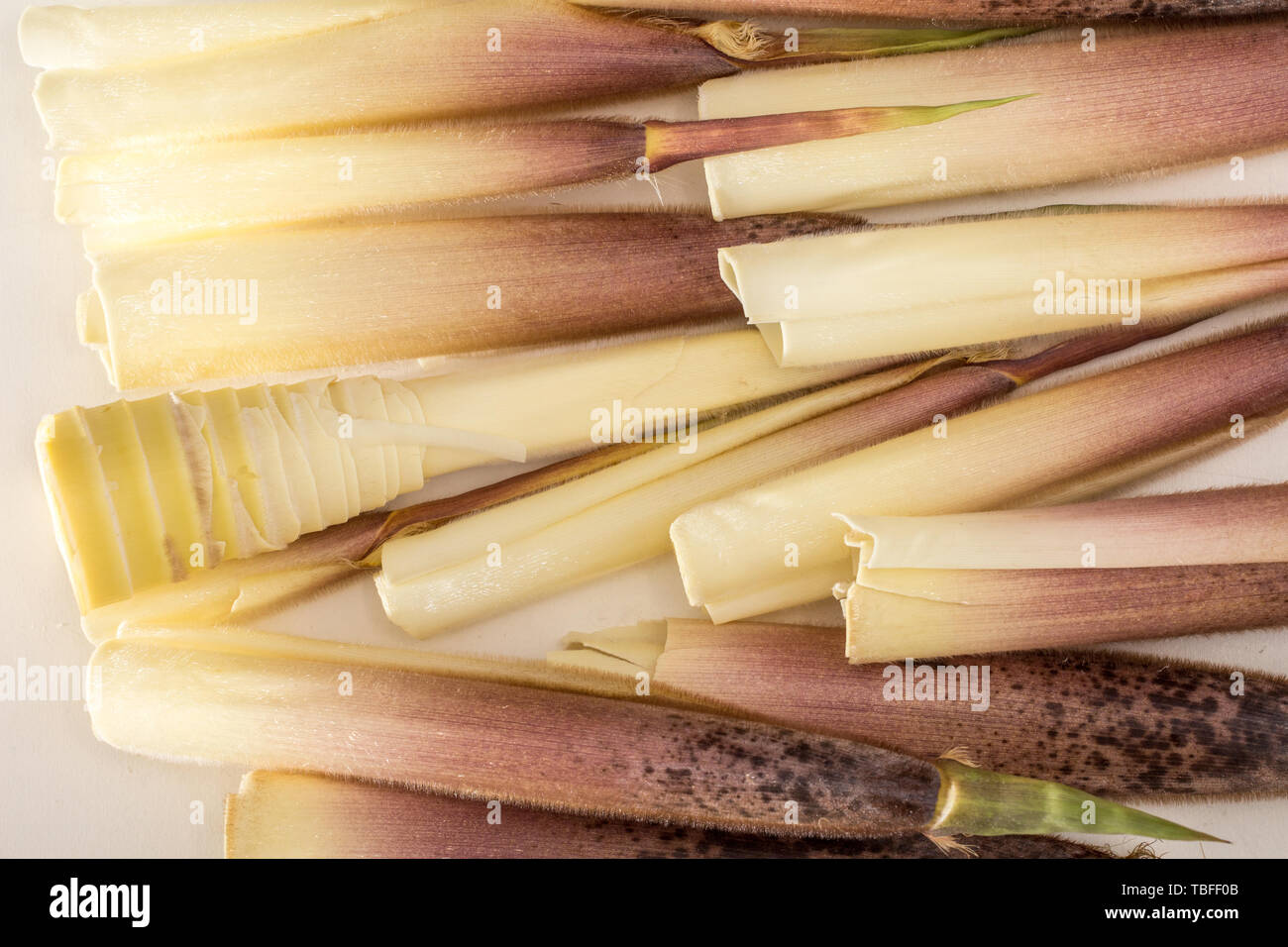 Fresh bamboo shoots ingredients Stock Photo - Alamy