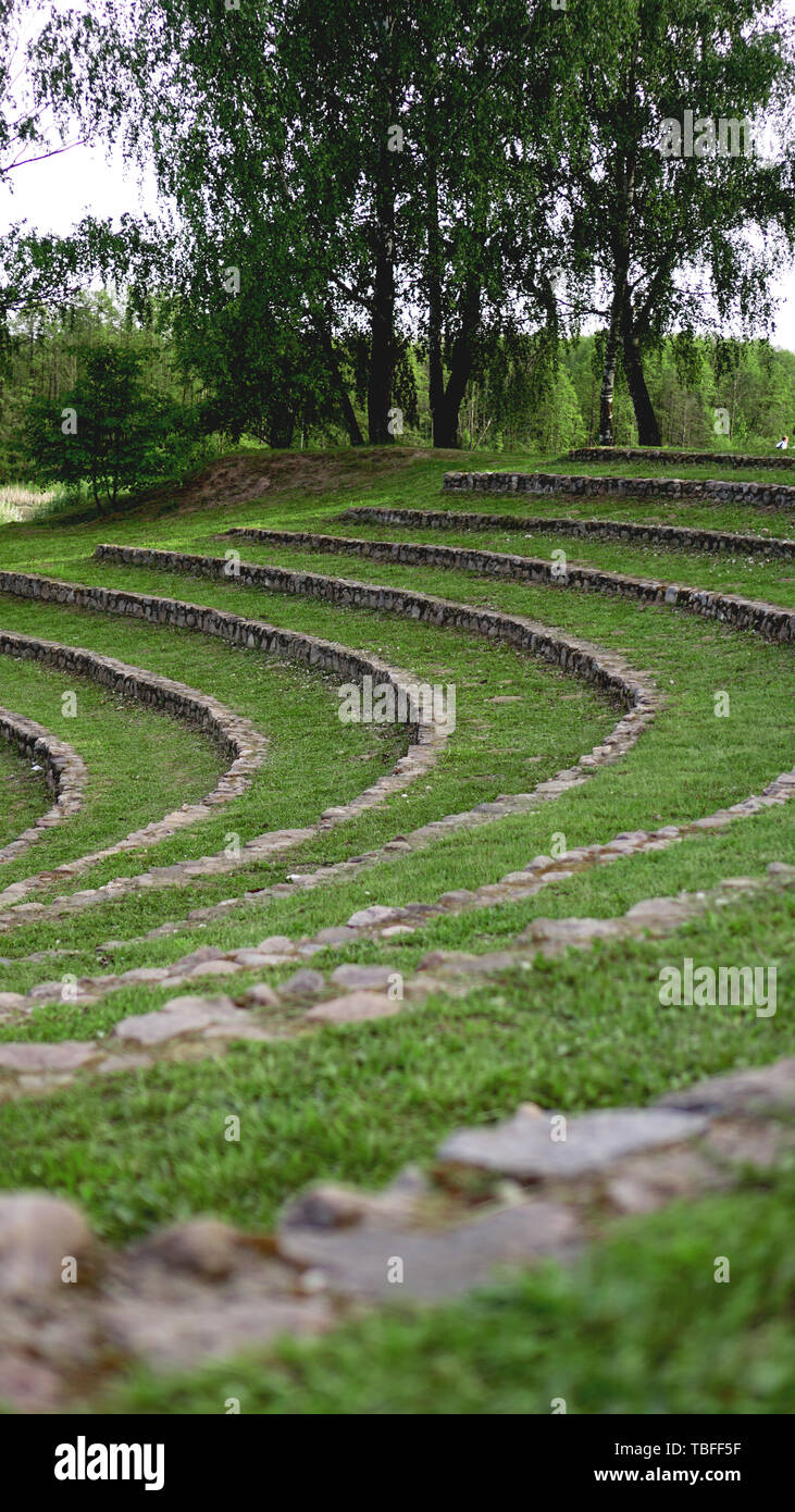 Beautiful spring park - bright green colors in sunlight Stock Photo - Alamy