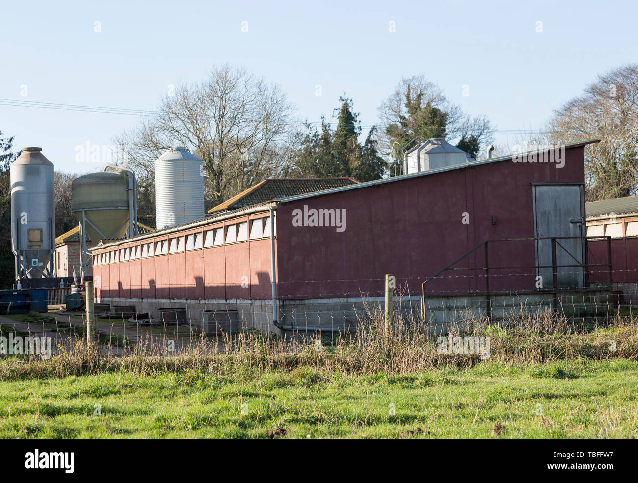 Pig farm building uk hi-res stock photography and images - Alamy
