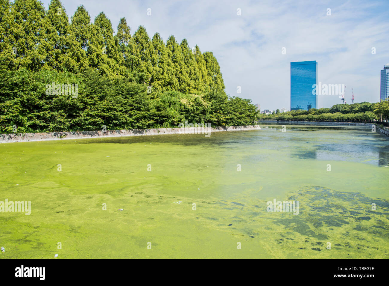Water Around The Osaka Castle At Japan 2016 Stock Photo - Alamy