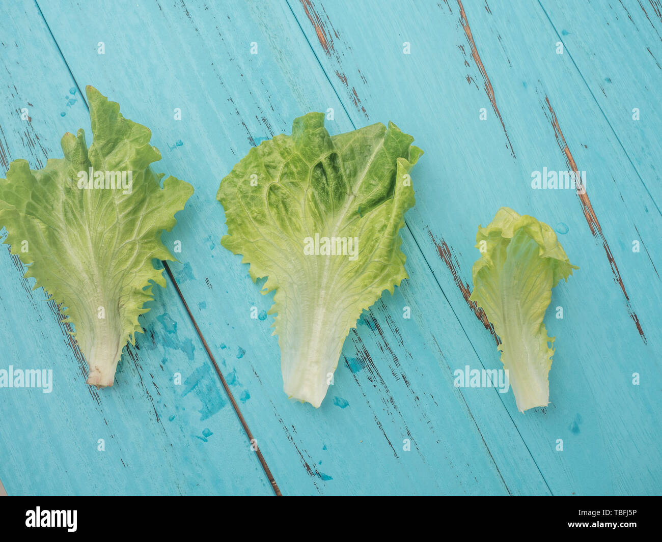Lettuce and bamboo shoots Stock Photo - Alamy
