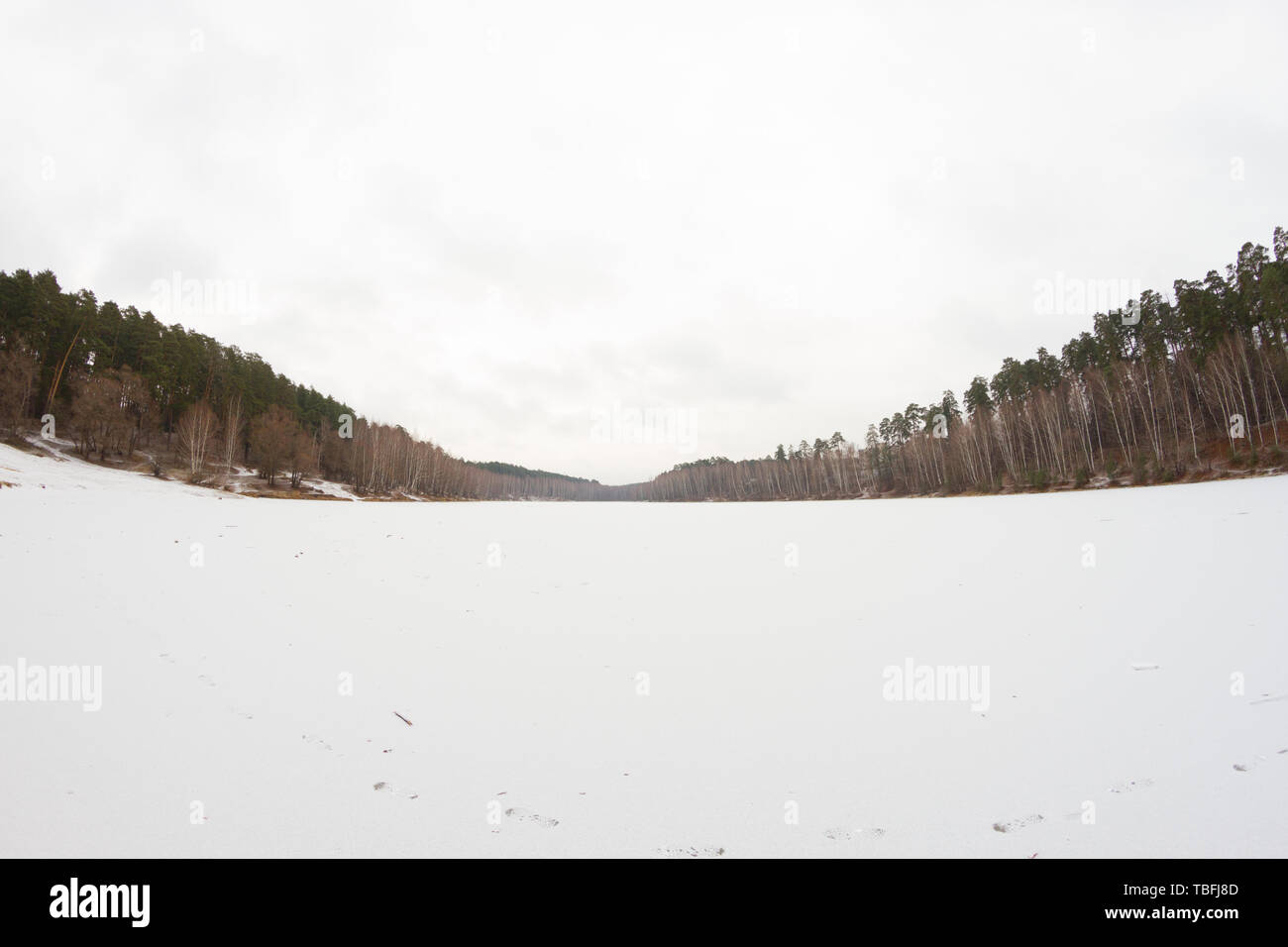 moody landscape with winter frozen lake. grey color Stock Photo - Alamy