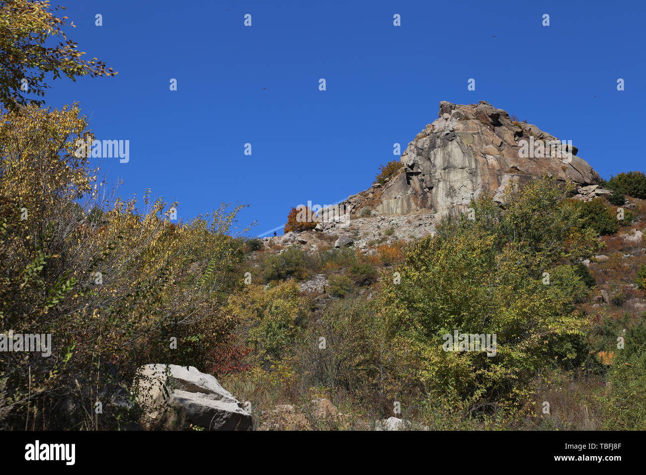 20181012 Photo at the Buddha Temple in Qiqihar Stock Photo - Alamy