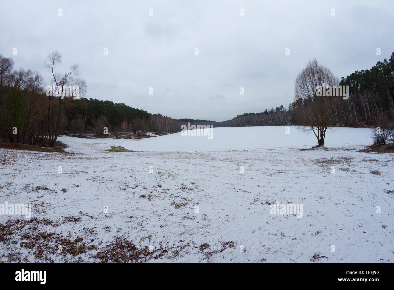 moody landscape with winter frozen lake. grey color Stock Photo - Alamy