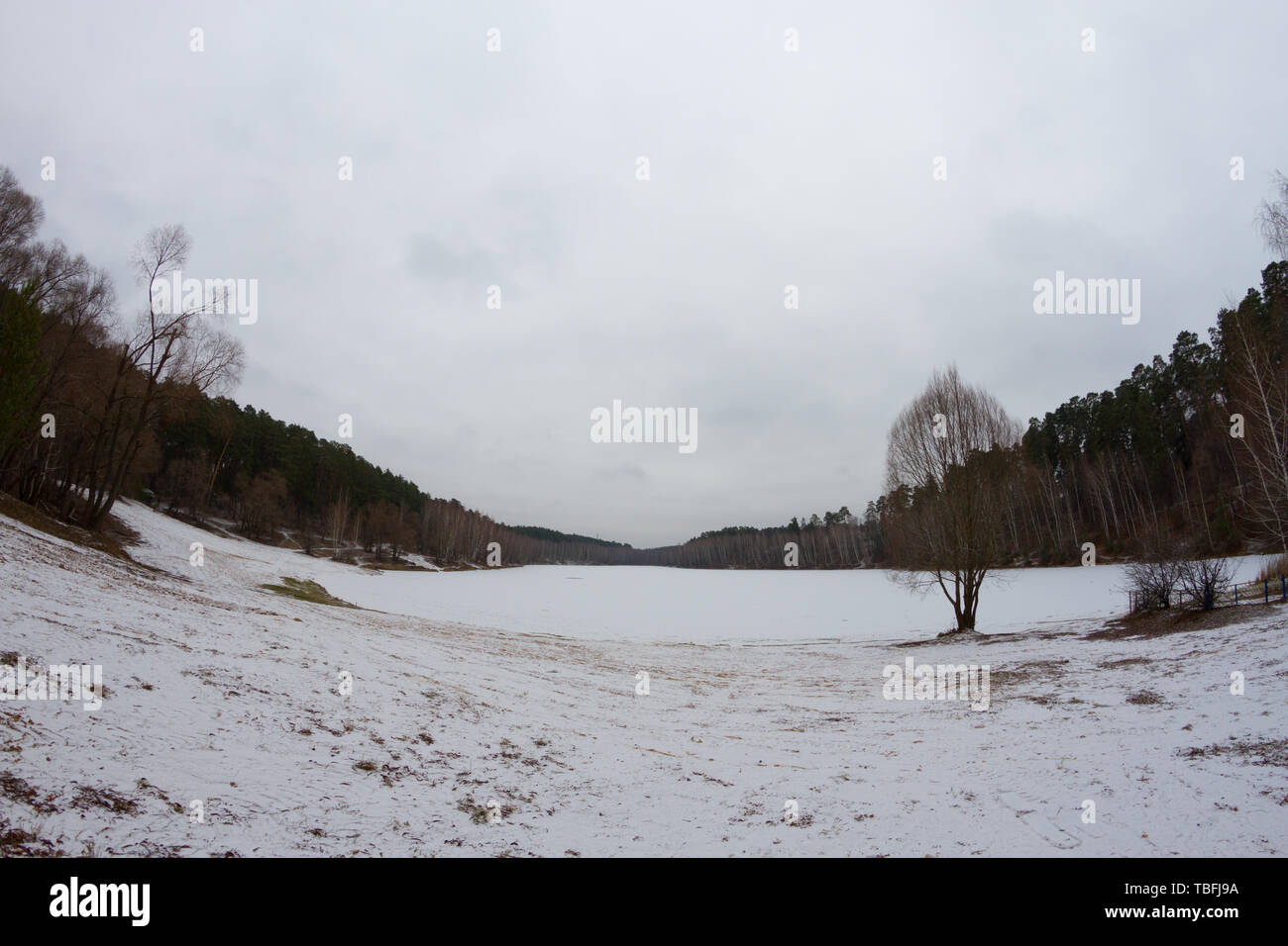 moody landscape with winter frozen lake. grey color Stock Photo - Alamy