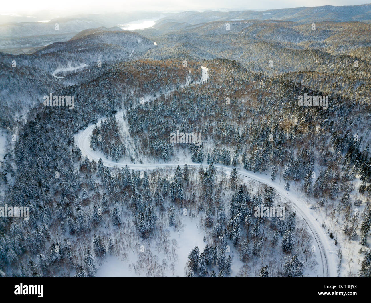 Big Snow Mountain Forest Lane Stock Photo - Alamy