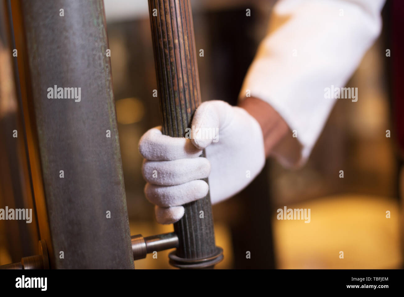 young indian porter service in luxury hotel lobby Stock Photo - Alamy