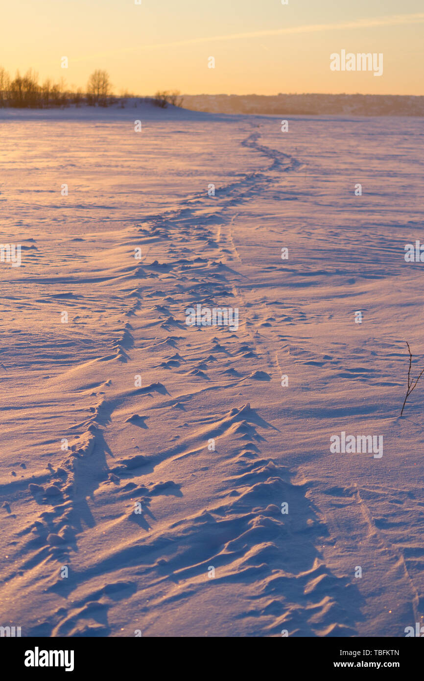 winter sunset over field. foot path Stock Photo - Alamy